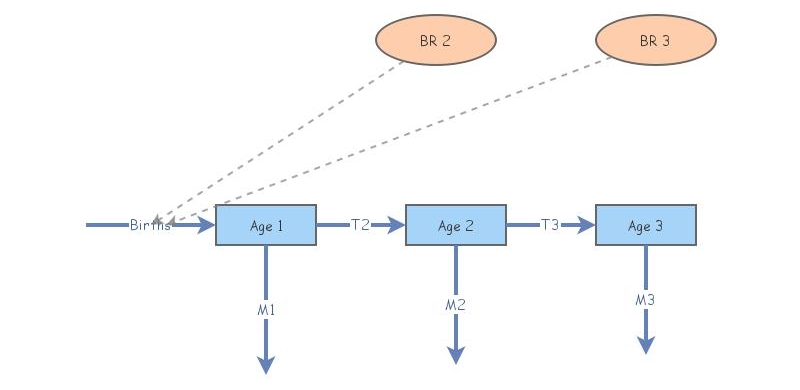 Lab3 Ex3 | Insight Maker