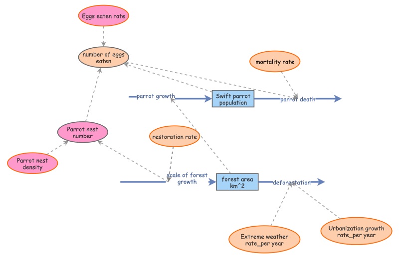 Workshop 5, The Impacts of Deforestation and Egg Predation on Swift Parrot Population | Insight ...