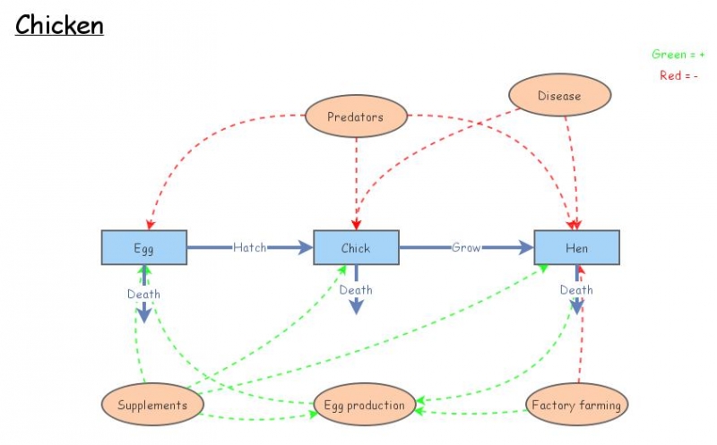 Chicken Diagram | Insight Maker