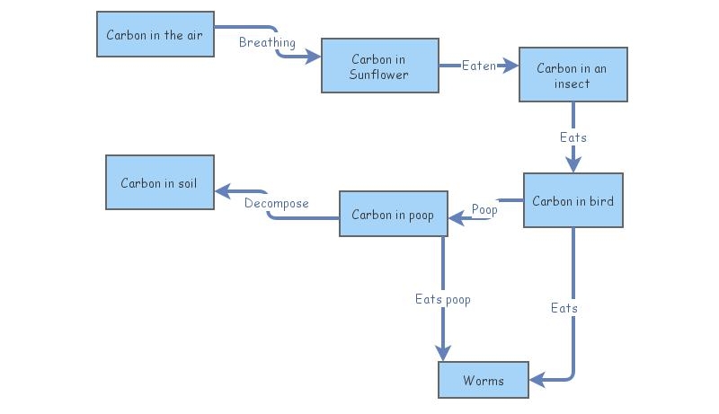 carbon model | Insight Maker