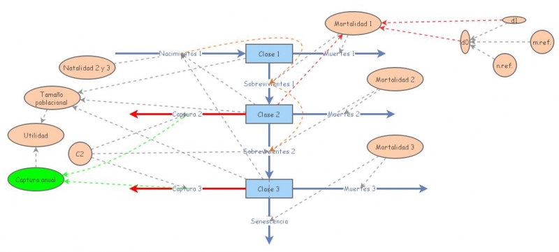 Tarea 4- deterministico mref | Insight Maker