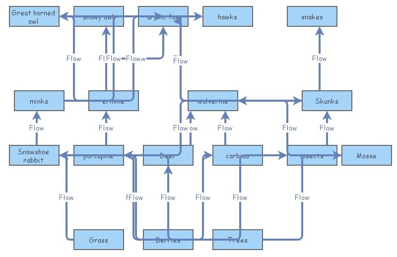 taiga biome food chain | Insight Maker