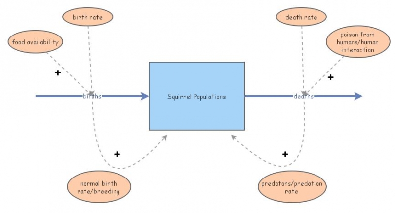 Squirrel Populations Model | Insight Maker