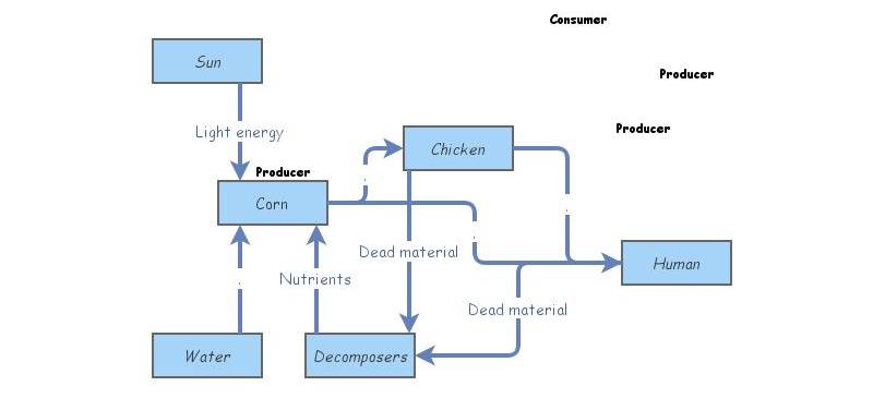 Food chain mars | Insight Maker