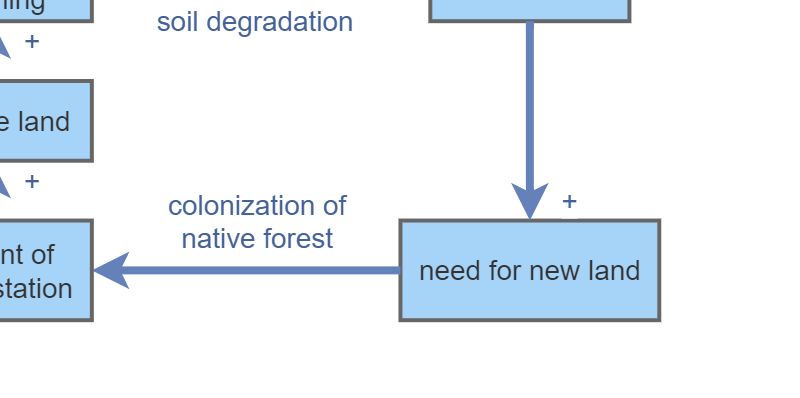 ranching deforestation loop | Insight Maker