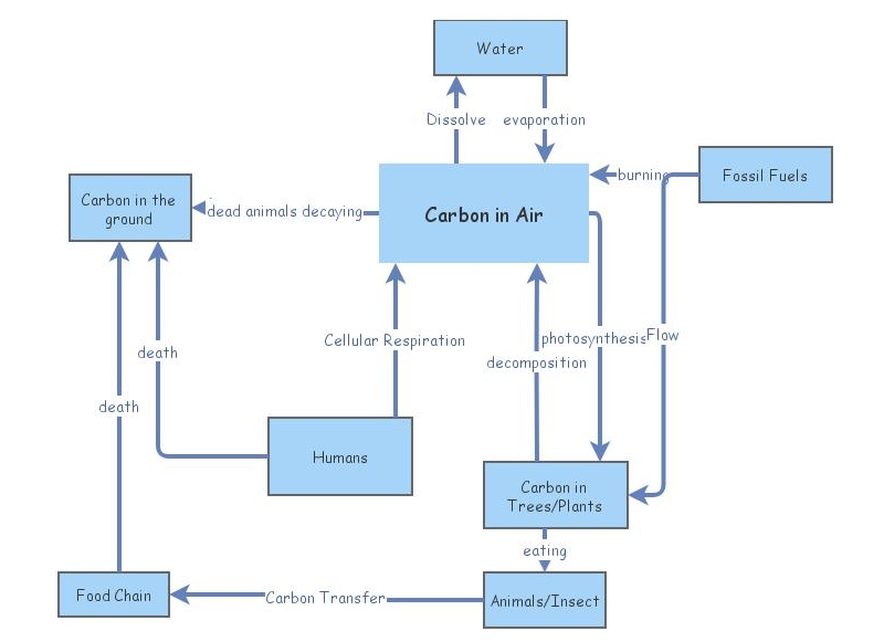Carbon Cycle | Insight Maker
