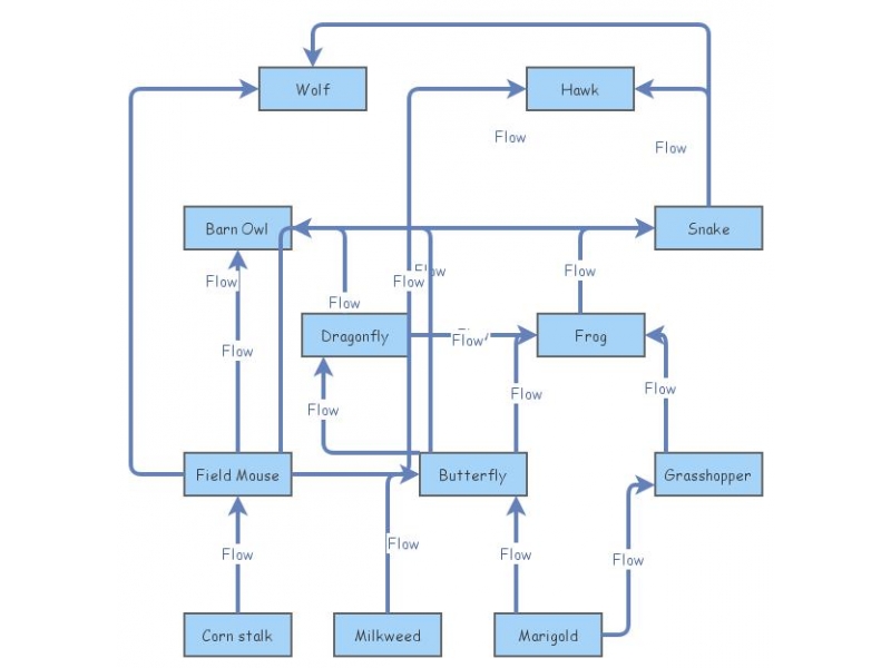 Butterfly Food Web :D | Insight Maker