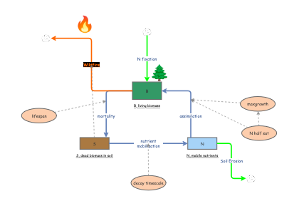 Terrestrial N cycle model template - Hollander | Insight Maker