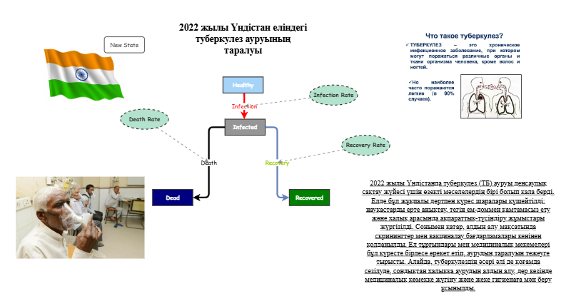 Өзіндік жұмыс 1 (жүйелік динамика) | Insight Maker