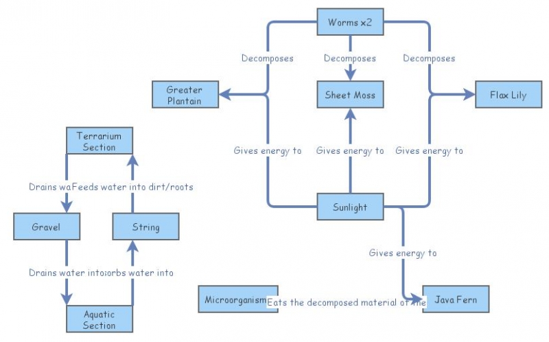 Biosphere Food Web | Insight Maker