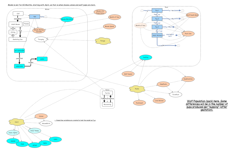 Moose and Wolves as Agents 1.1 | Insight Maker