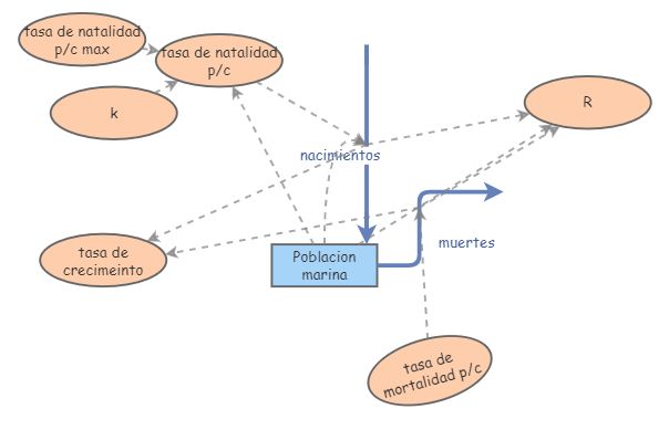 modelo de población punto 5. mahona | Insight Maker