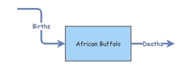 Reyes Buffalo Model | Insight Maker