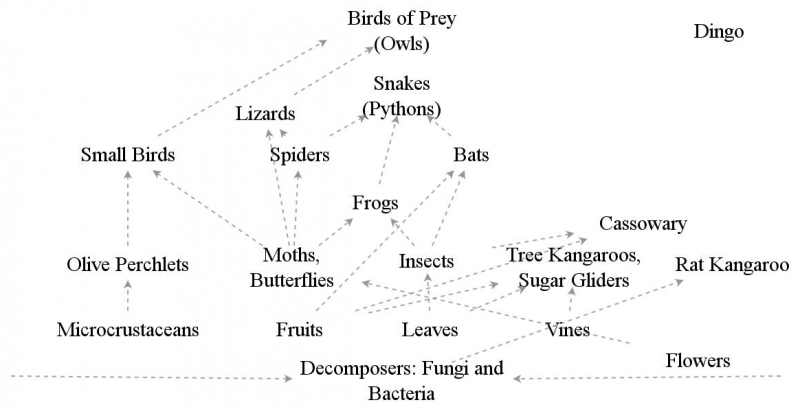 Clone of Tropical Rainforest: Daintree Ecosystem (Australia) | Insight Maker
