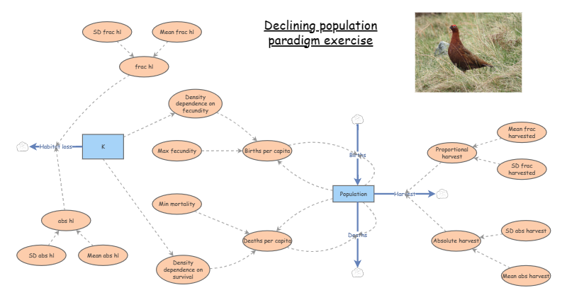 Clone of declining population paradigm: Class exercise 4/3/2024 | Insight Maker