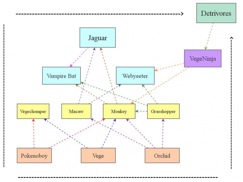 Biome Project Food Web | Insight Maker