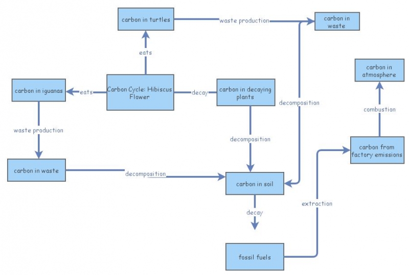 carbon cycle | Insight Maker