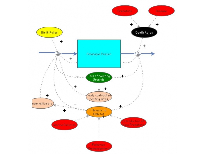 Stakeholder Project | Insight Maker