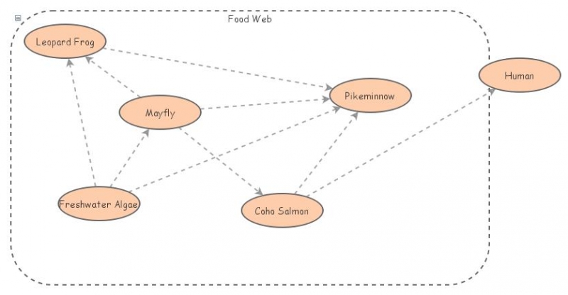 Salmon Food Web | Insight Maker
