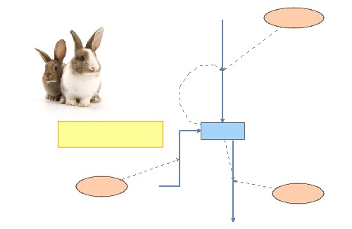 Rabbit Model | Insight Maker