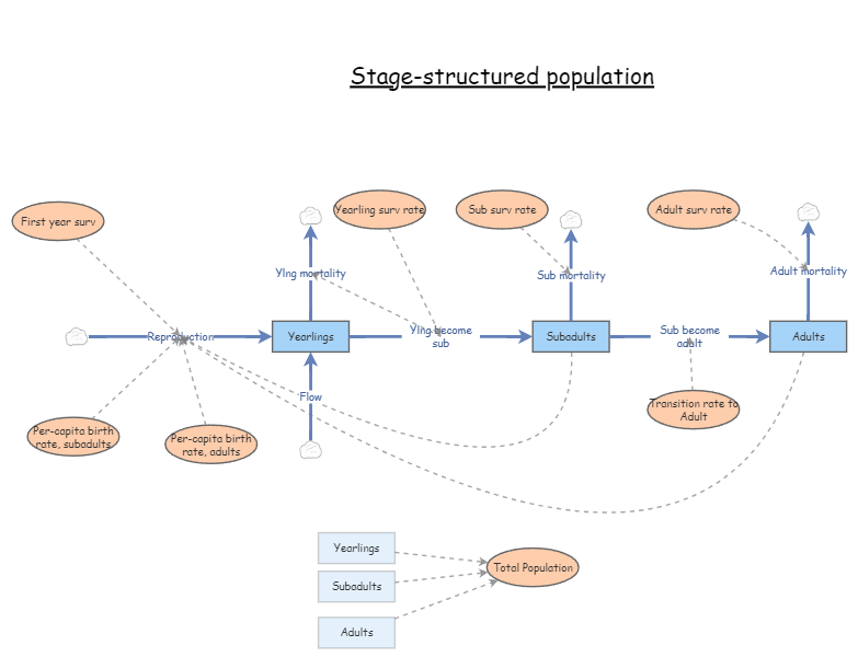 Clone of Stage-structured population | Insight Maker