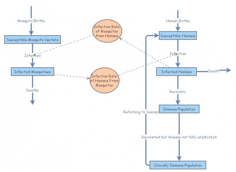 Malaria Basic Reference Model | Insight Maker