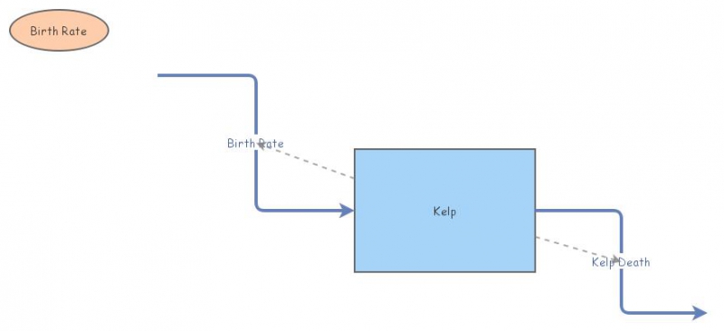 Exponential Decay/growth of Kelp with variable | Insight Maker