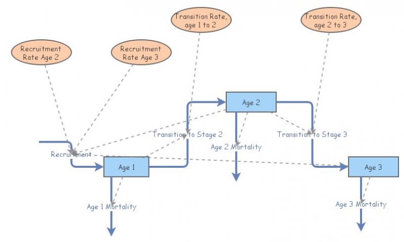 Lab 4 | Insight Maker