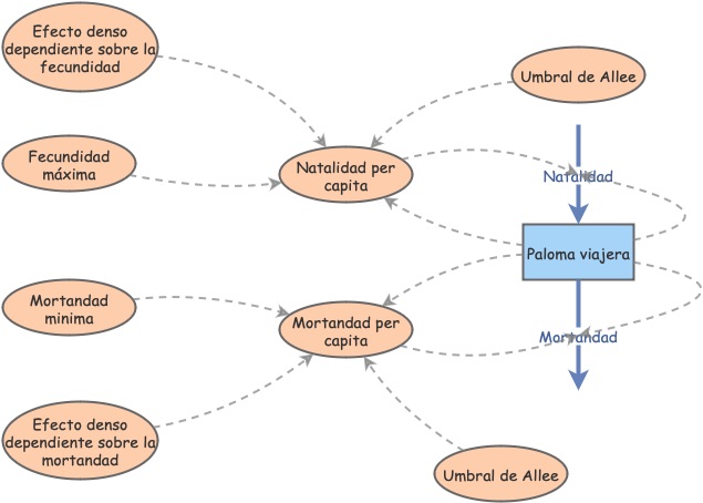 Efecto Allee | Insight Maker
