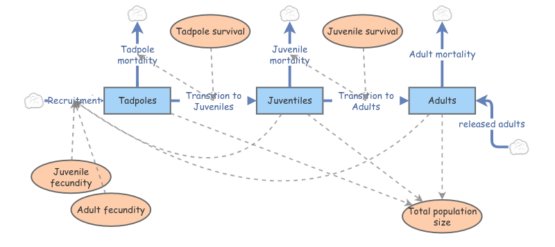 Lab 6: Stage Structure | Insight Maker