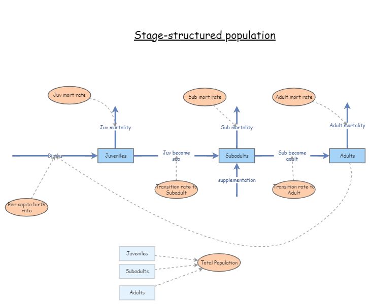 Stage-structured population lab 4 | Insight Maker