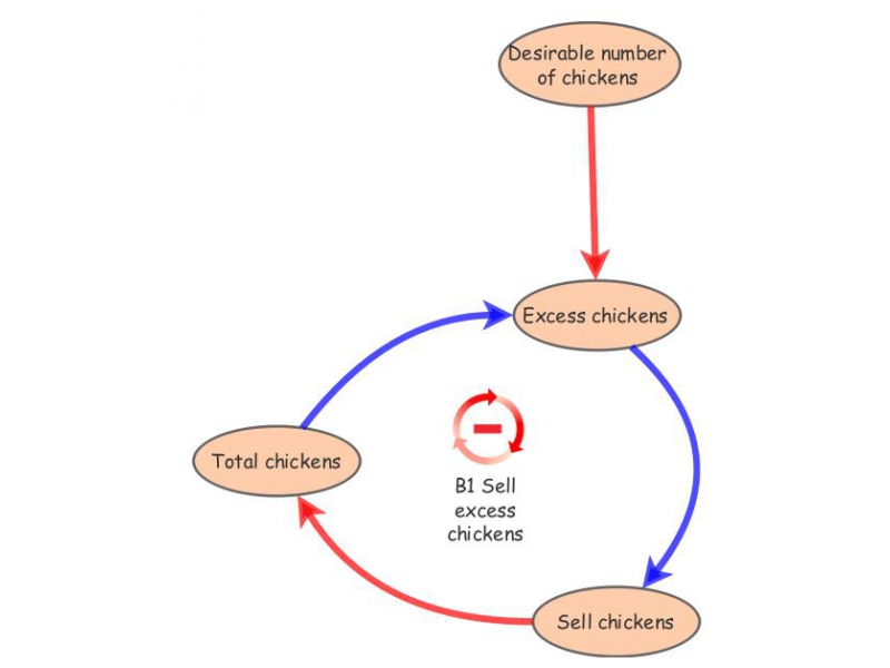 Exercise 3 Sell chickens | Insight Maker