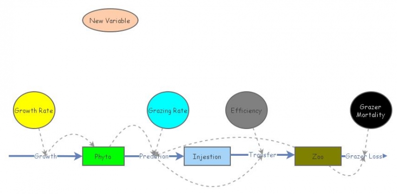 Lab 3: Phytoplankton/Zooplankton Model | Insight Maker
