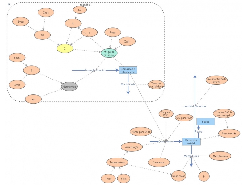 Aula 19/05 | Insight Maker