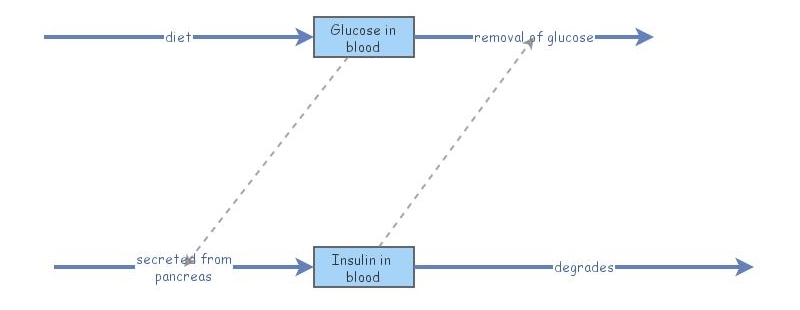 Clone of Insulin Glucose Student Start | Insight Maker