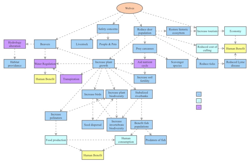 Ecosystem Model | Insight Maker