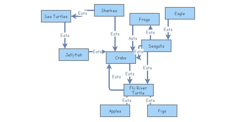 Fly River Turtle food web | Insight Maker