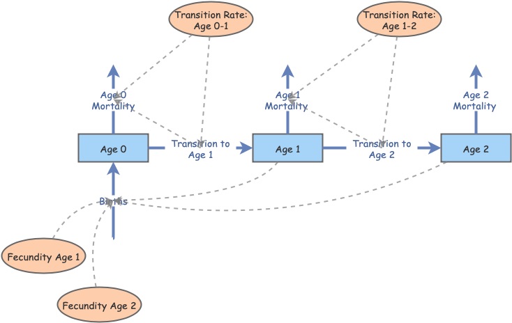 HW 8-10 Exercise 2 | Insight Maker