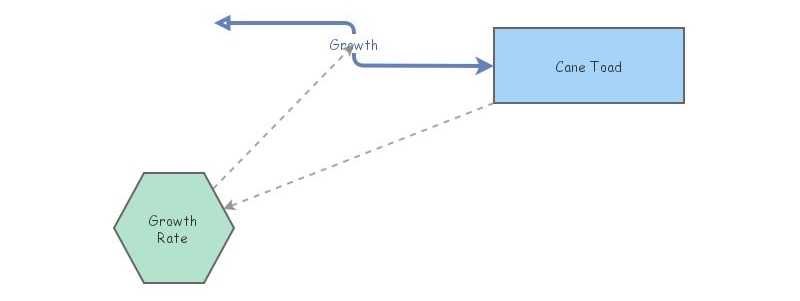Cane Toads | Insight Maker