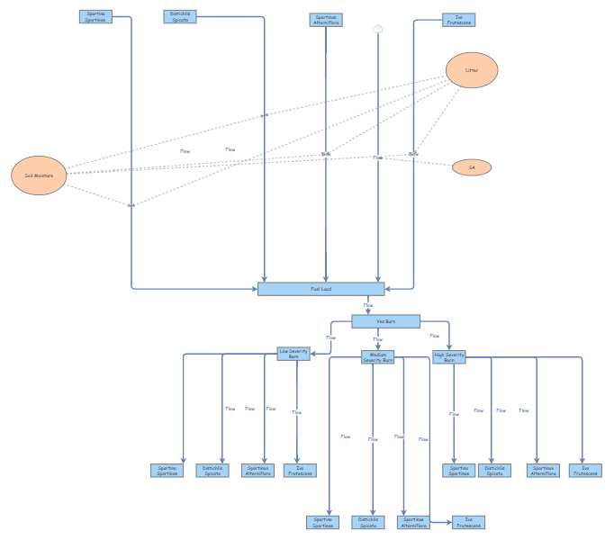 Marsh Fire Model | Insight Maker