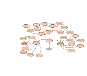 Causal Loop Diagram | Insight Maker