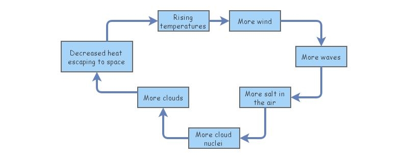 Cloud feedback loop | Insight Maker