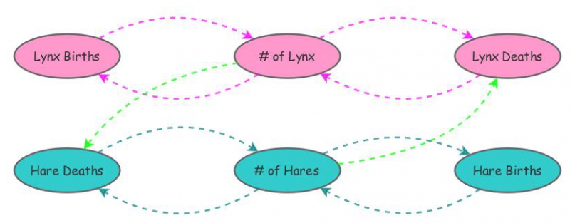 Lynx & Snowshoe Hare Diagram | Insight Maker