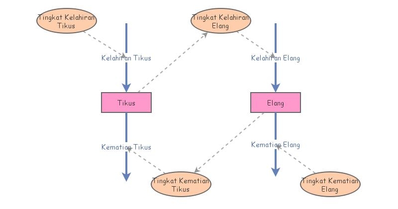 Group M_System Dynamic Tikus dan Elang | Insight Maker