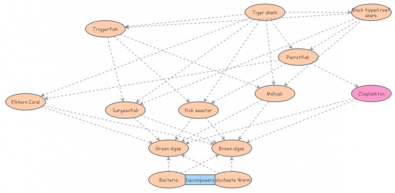 Clone of Arizona Food Web | Insight Maker