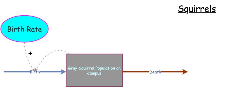 Squirrel Population on Campus | Insight Maker