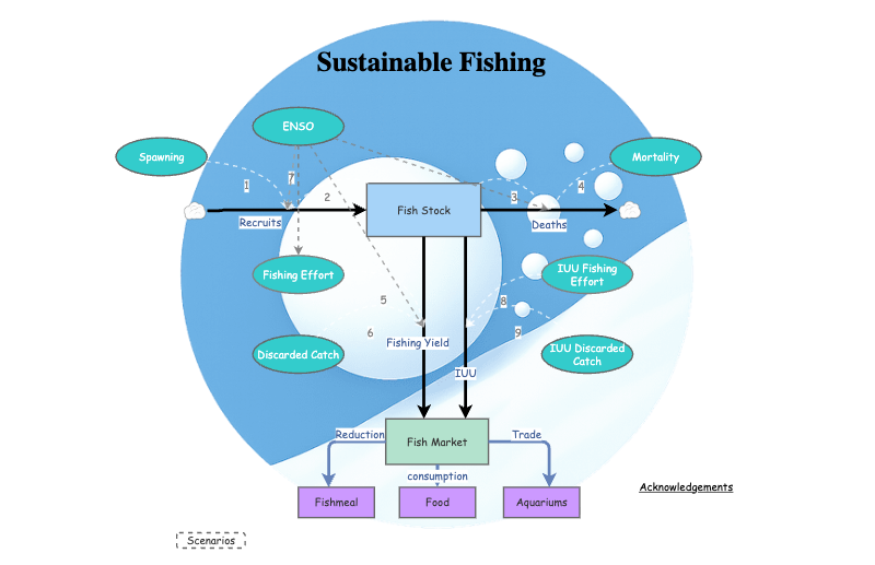 Clone of Clone of Stage 4 - Sustainable Fishing Model | Insight Maker