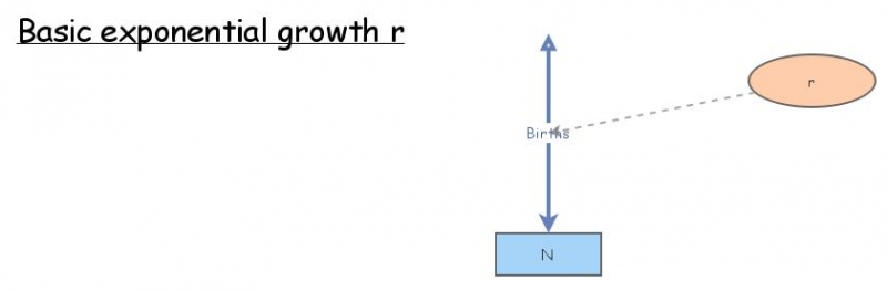 Basic exponential growth r | Insight Maker