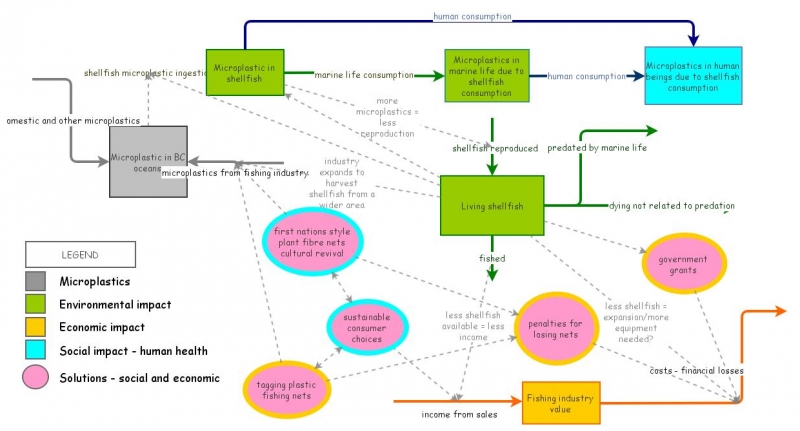 Project Stage 2: The Shellfish Industry and Microplastics SOLUTIONS | Insight Maker