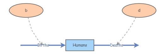 Basic exponential growth 2 flows (B and D) | Insight Maker